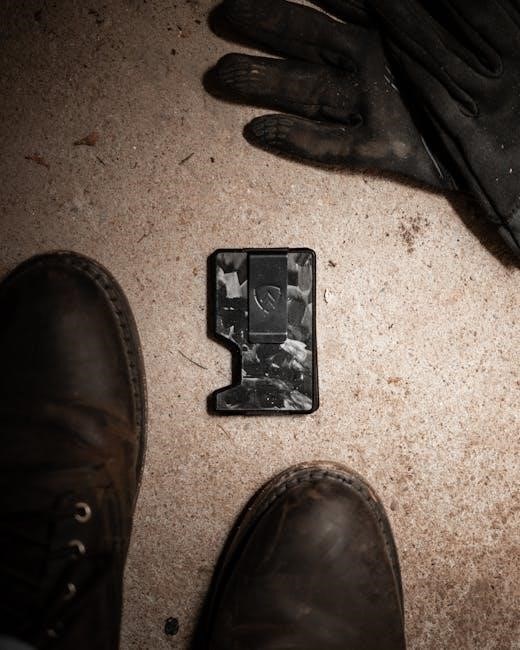 Dr. Vodder's Manual Lymph Drainage: A Practical Guide